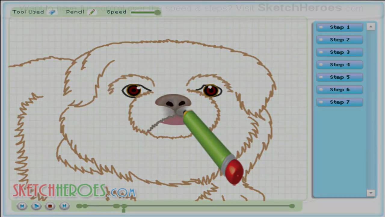 How to draw -Pekingese- (DOG) -- drawing tutorial video - YouTube