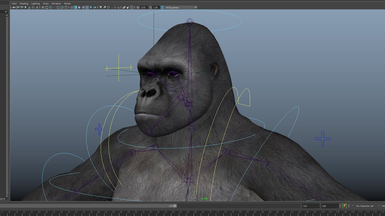Maya大猩猩绑定模型|Gorilla Monster rig - YouTube