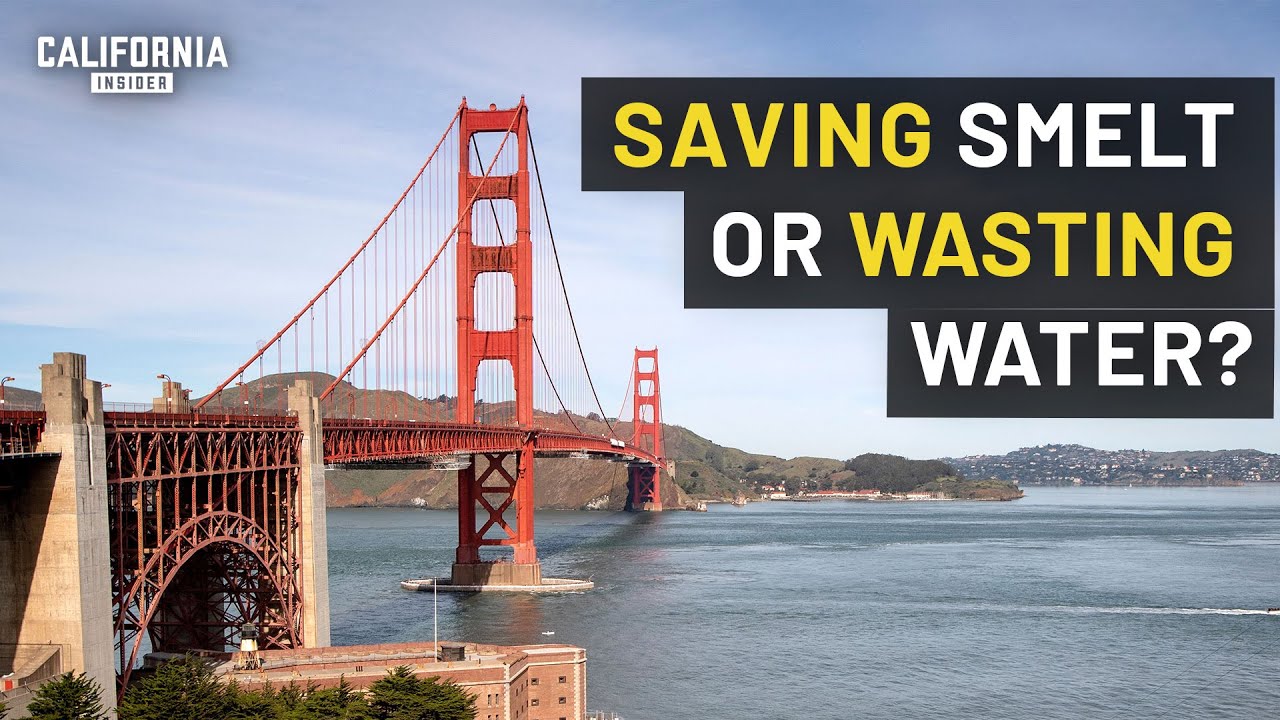 Freshwater Flows to the Golden Gate: Does It Help Delta Smelt? | Geoff ...