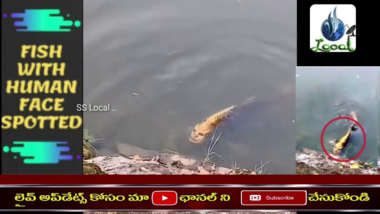 చైనాలో మనిషి ముఖాన్ని పోలిన చేప# viral Strange fish with human face in ...