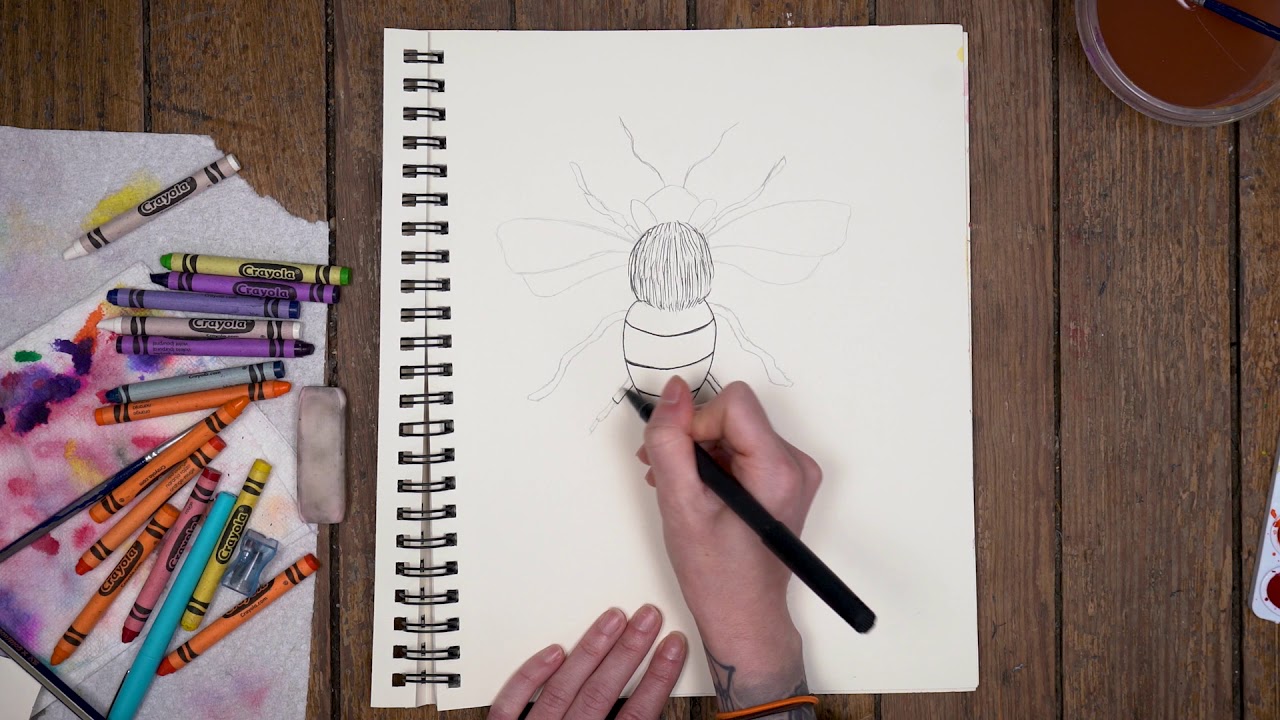 Step by Step Bumble Bee Drawing - YouTube