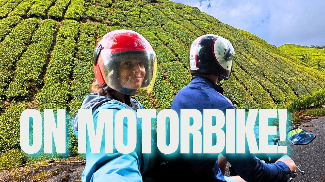 Cameron Highlands in 1 Day — Our Quick Escape - YouTube