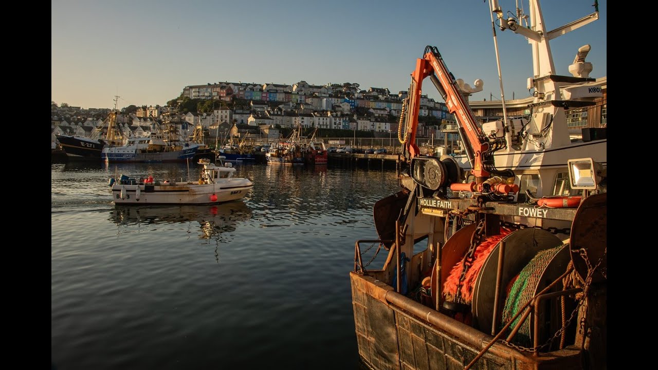 Sheriene Tells Us About Seafood in Numbers - YouTube