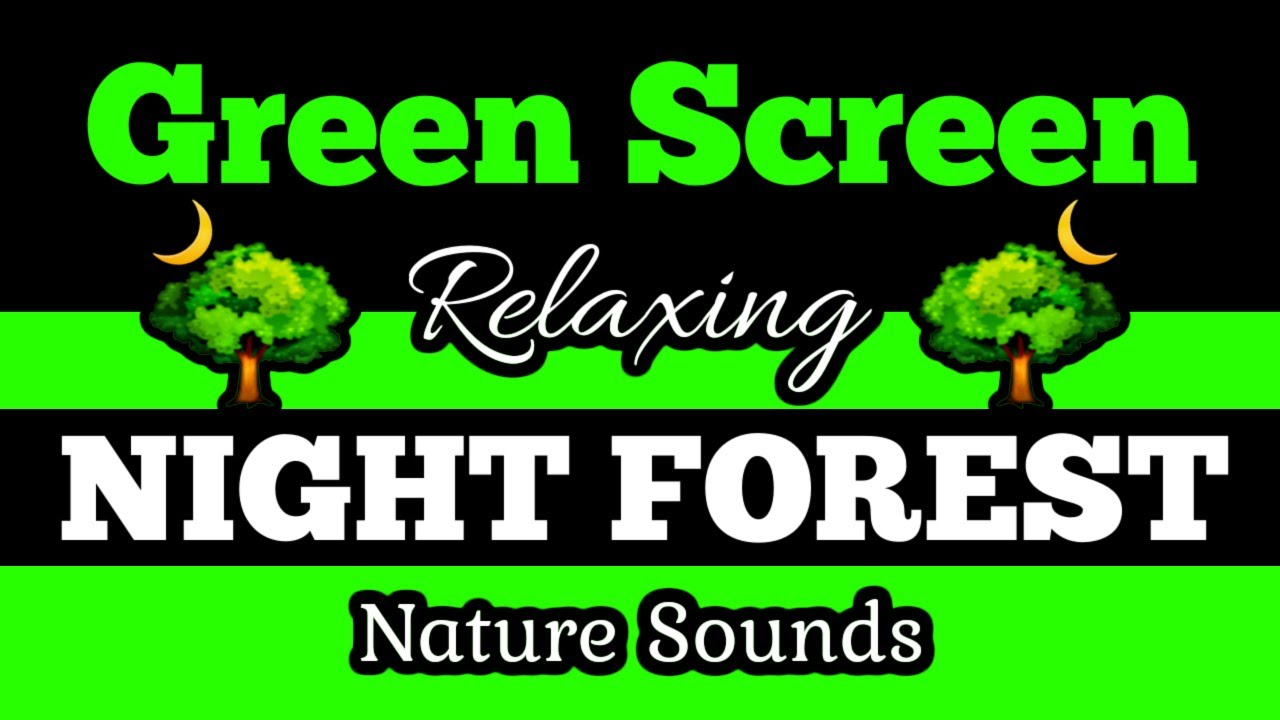 🟩GREEN SCREEN 🌳NIGHT FOREST 🌲Best Nature Sounds - YouTube