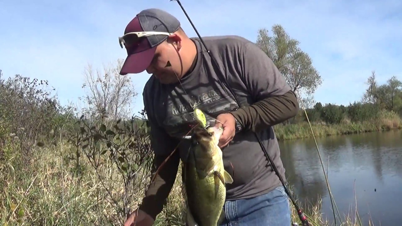 (PESCA DE LOBINA ) BASS FISHING 10/19/2017 - YouTube