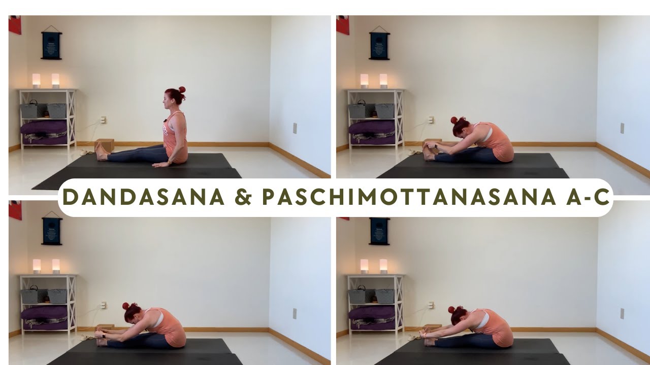 How to do Seated Forward Bend for Beginners - YouTube