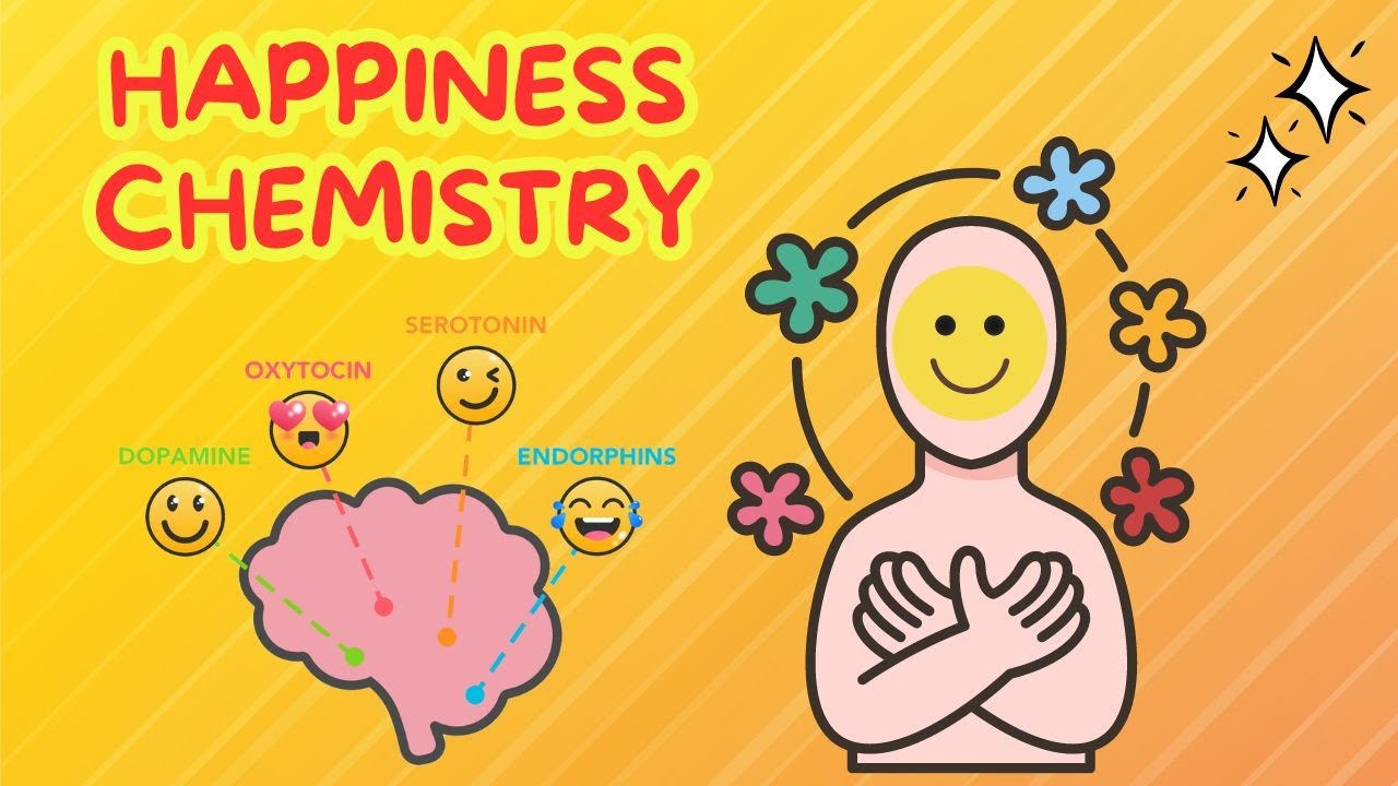 HAPPY HORMONES | HAPPINESS CHEMISTRY | DOPAMINE, ENDORPHIN, OXYTOCIN ...