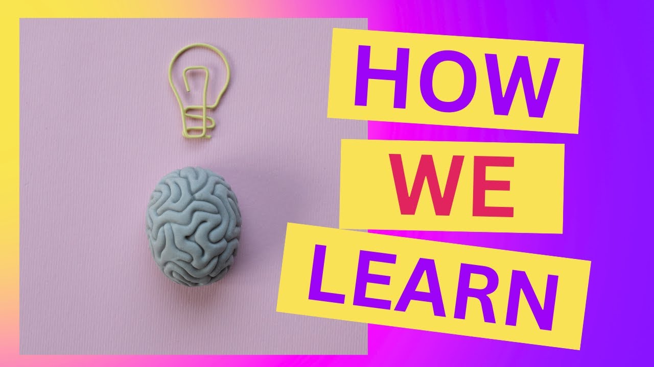 How Children take in Information | How they learn - YouTube