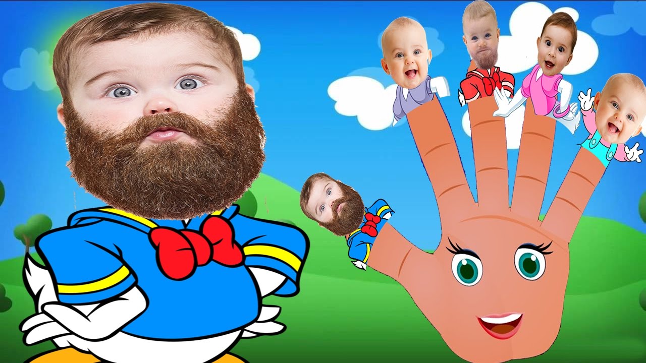 Little Babies Donald Duck Funny Finger family Song Nursery Rhymes ...