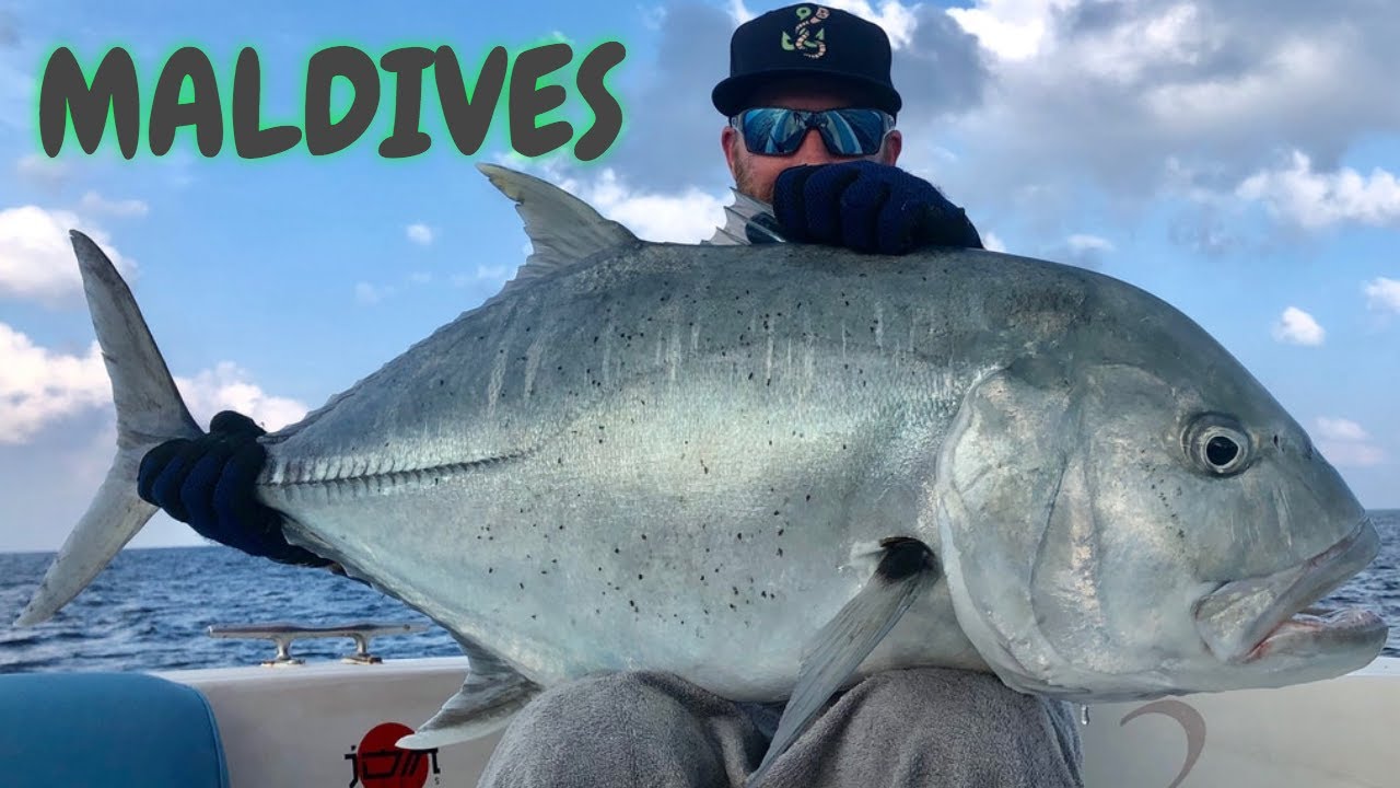 Catching my dream fish in the Maldives! Popping for big GT! - YouTube