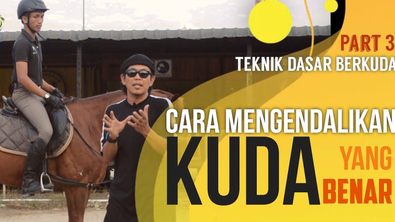 Teknik Dasar Berkuda Part 3 (Cara Mengendalikan Kuda yang Baik dan ...