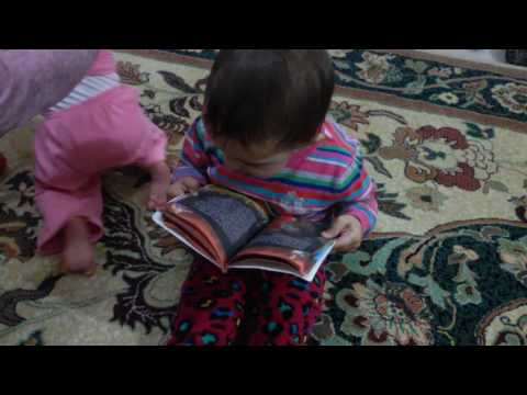 Bir buçuk yaşında kitap okuyan bebek