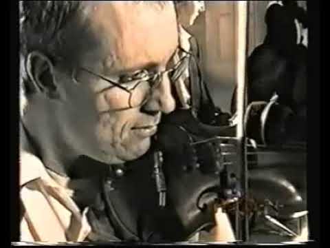 Doug Mansfield and The Dust Devils - One More Beer - YouTube