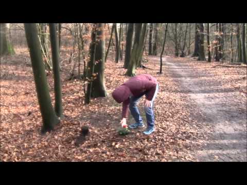 Johann Wolfgang von Goethe - Gefunden (Kurzfilm)