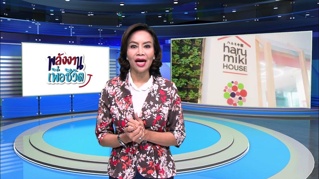 พลังงานเพื่อชีวิต ep7 คาเฟ่ Harumiki House ต่อยอดธุรกิจพลังงานสู่เกษตรกรรม - YouTube