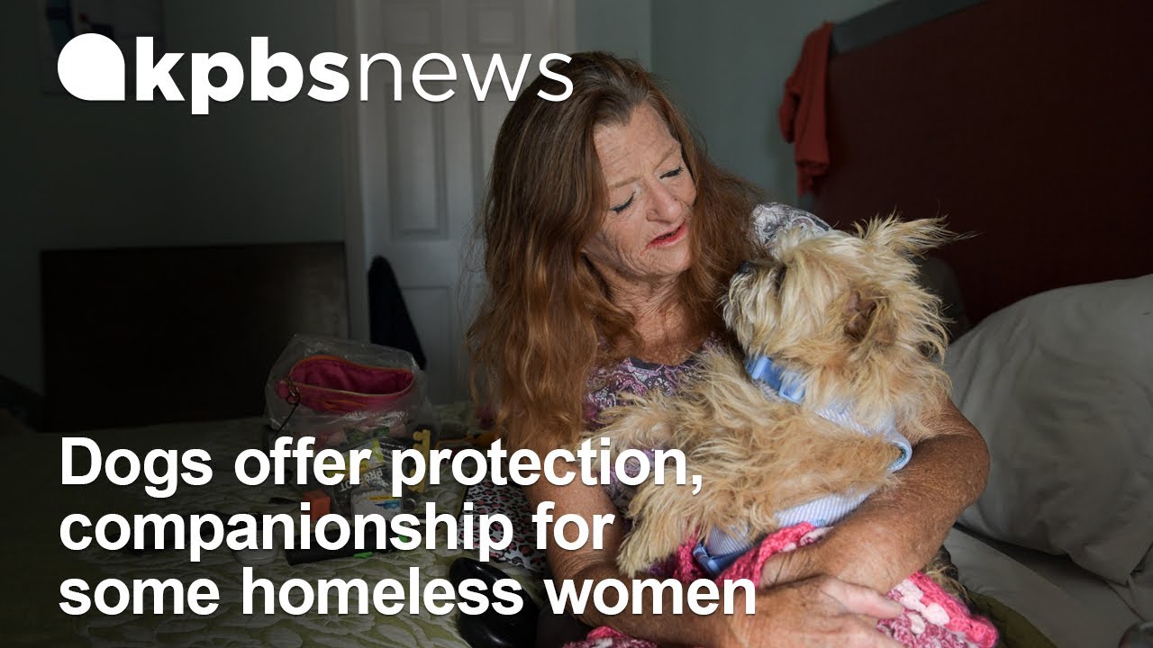 Dogs offer protection and companionship for some homeless women - YouTube