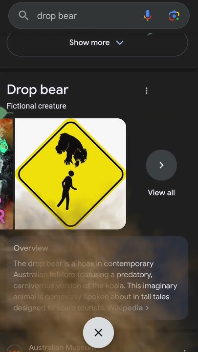 Try this on Google, It's pretty cool II Drop Bear #meeevoid #dropbear - YouTube