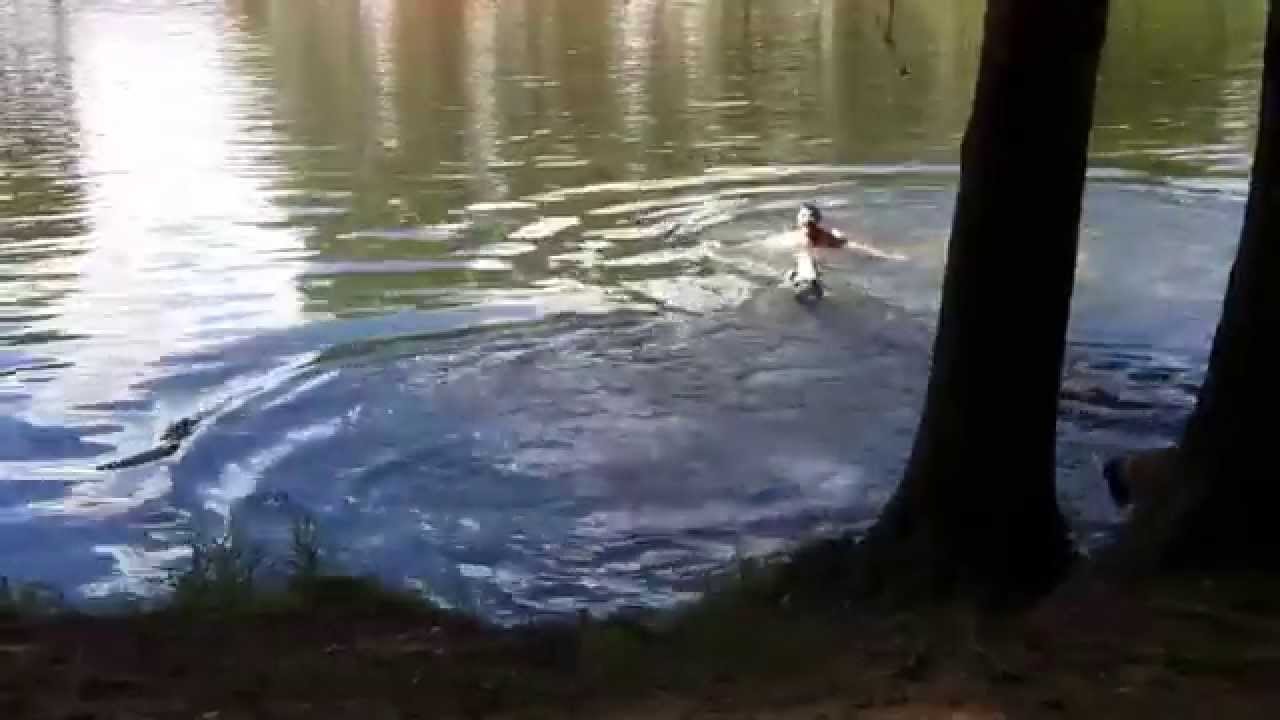 Jumping into the swimming pond - YouTube