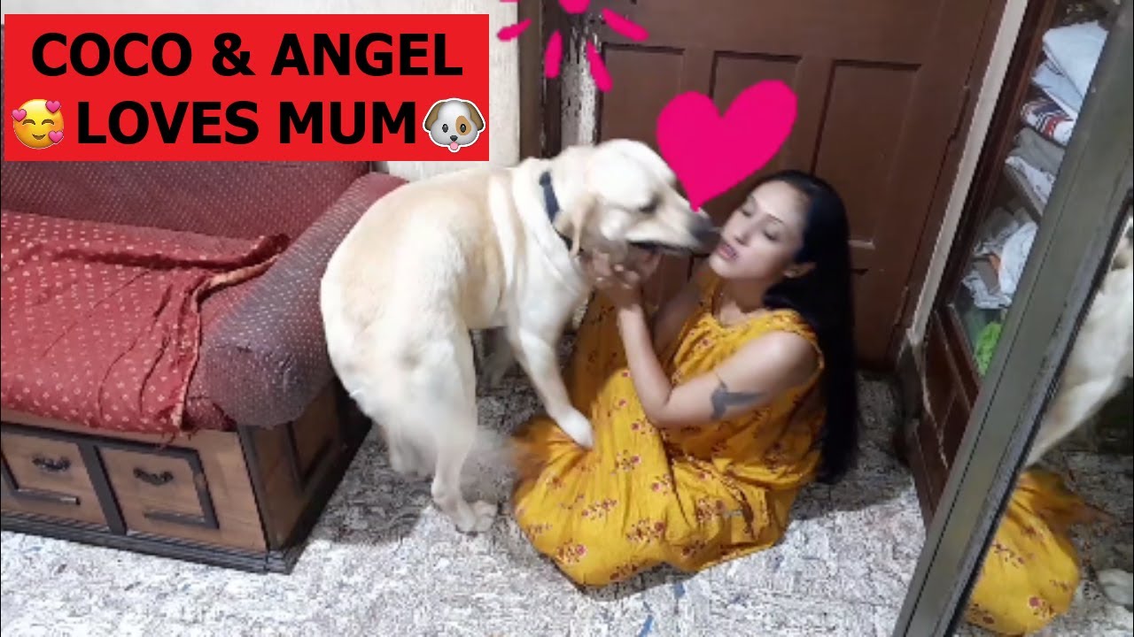 COCO & ANGEL CIRCUS😂😂😂😂😂😂 | MUM TRIES TO BE A RINGMASTER, BUT🤣🤣🤣🤣 ...