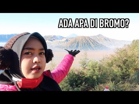 Explore Bromo Musim Dingin. Ada Esnya 😱