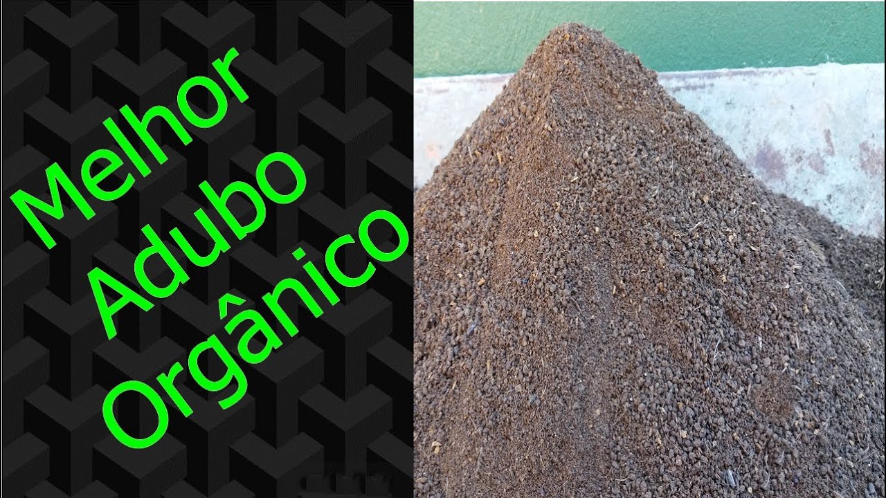 O melhor adubo do mundo #Como curtir esterco de codorna da maneira mais ...