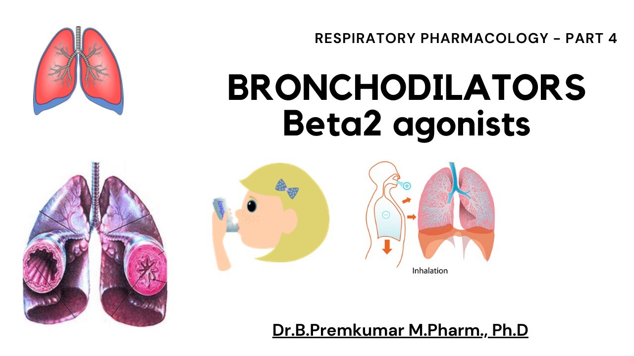 Beta2 agonists - Respiratory Pharmacology - Part 4 - YouTube