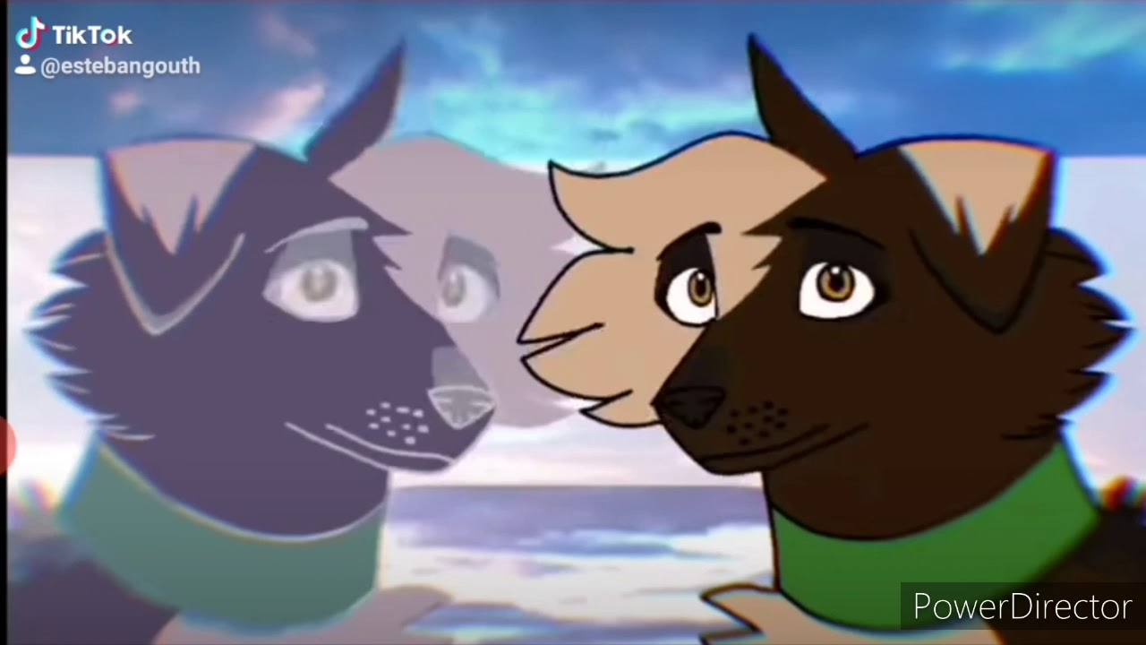 Mais animation #3 - YouTube