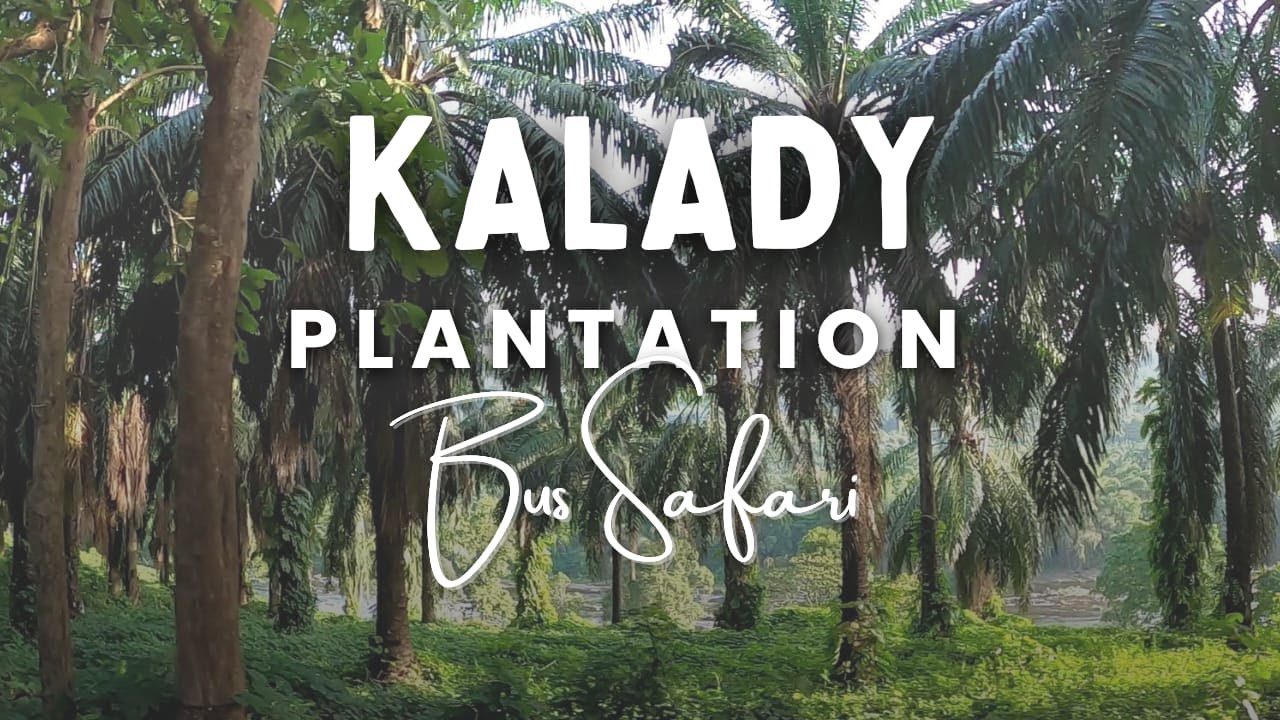 KALADY PLANTATION Bus Safari - YouTube