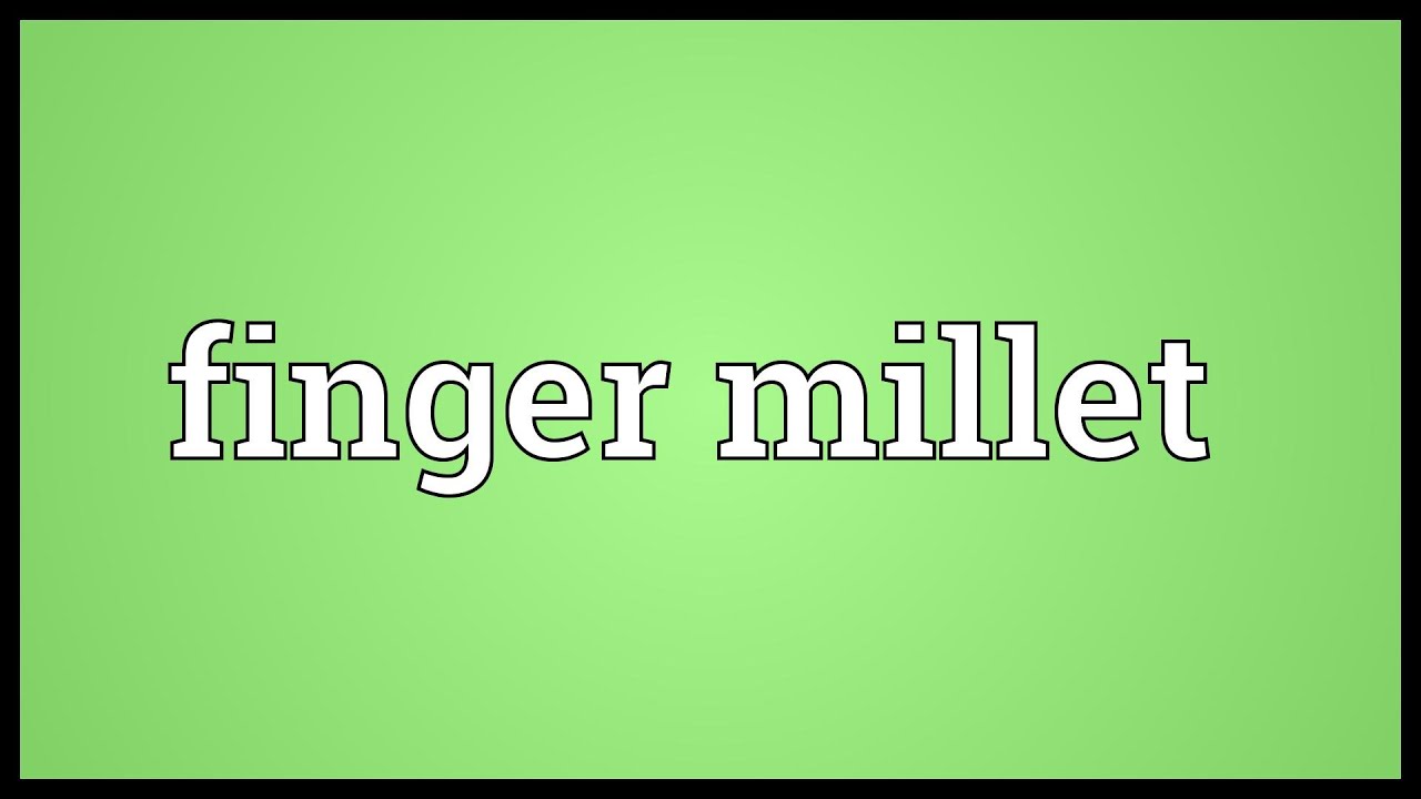 Finger Millet Meaning YouTube finger-millet-meaning-youtube