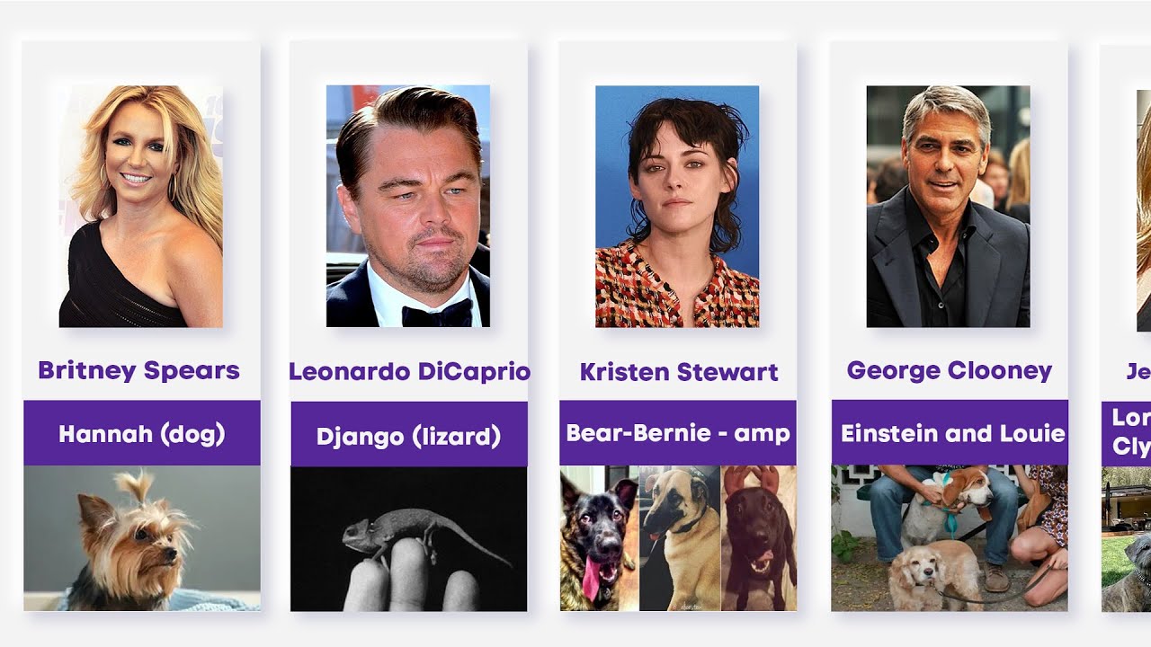The pet of famous actors : Meet the Stars' Adorable Companions! - YouTube