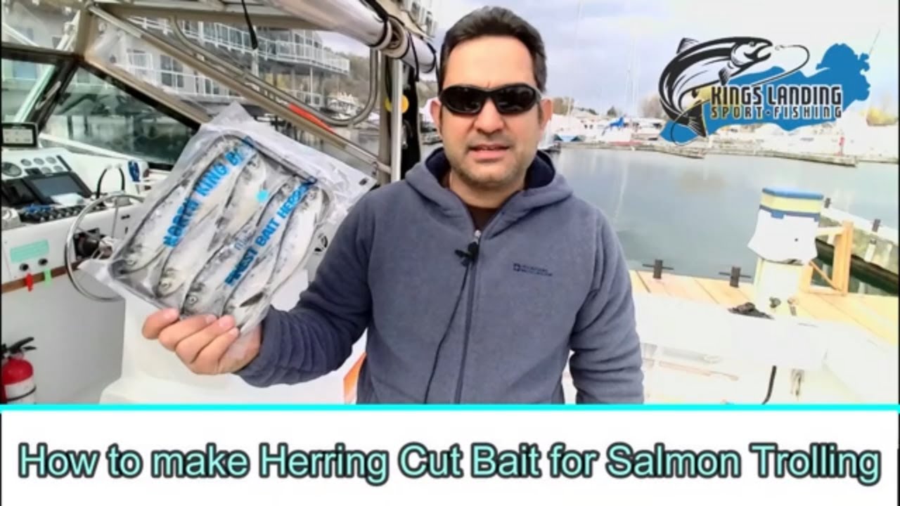 How to make Herring Cut Bait Strips for Salmon Trolling #DIY # ...