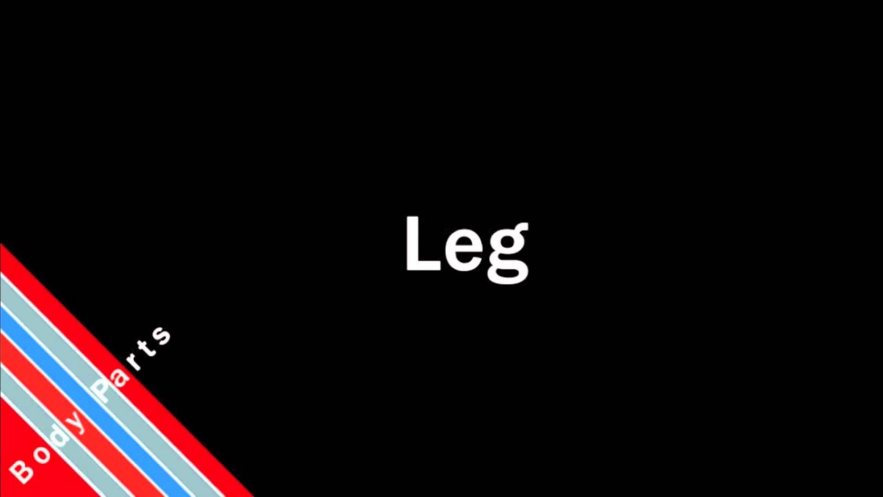 How to Pronounce Leg - YouTube