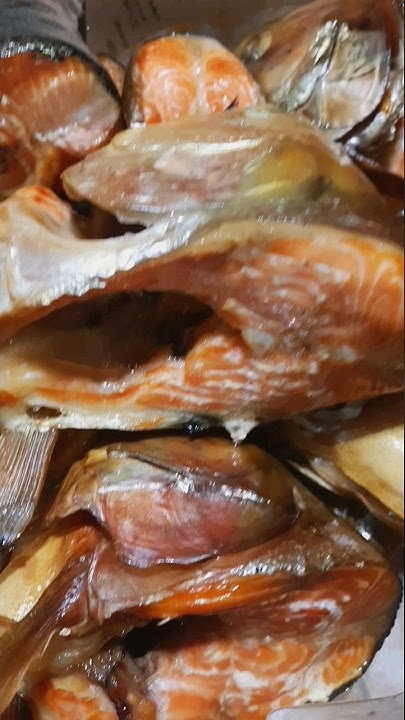 ОГРОМНЫЕ ГОЛОВЫ ФОРЕЛИ И СЁМГИ ГОРЯЧЕГО КОПЧЕНИЯ 🔥 #рыба #fish #2023 # ...