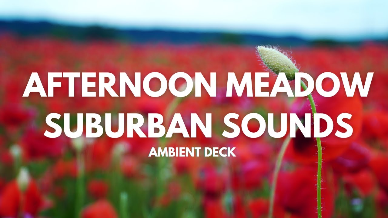 Afternoon Meadow Suburban Sound And Ambience | Ambient Deck - YouTube