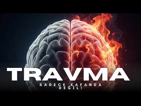 Travma Sadece Kafanda Değil! Beden Kayıt Tutar (Kitap Özeti & İyileşme Yolları)