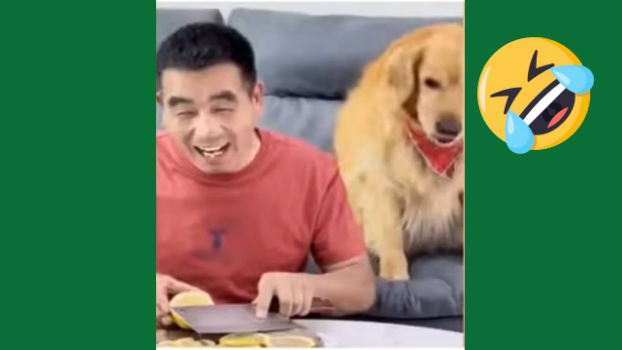 Laugh out loud with this hilarious compilation of pet bloopers!🤣 # ...