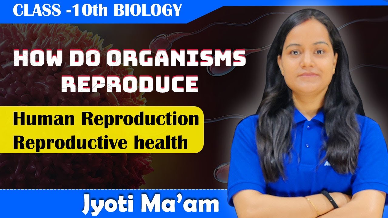 Human Reproduction Class 10 | Reproductive health Class 10 | Biology By ...