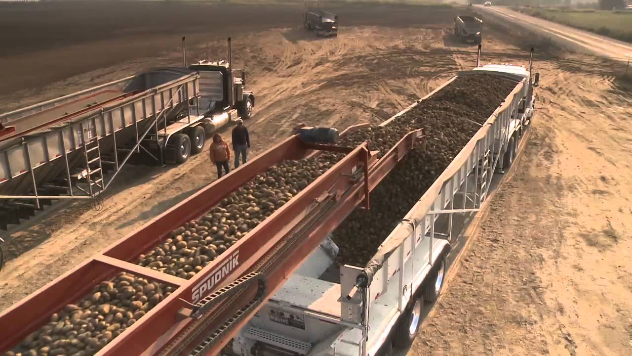 Potato Transloading Station - YouTube