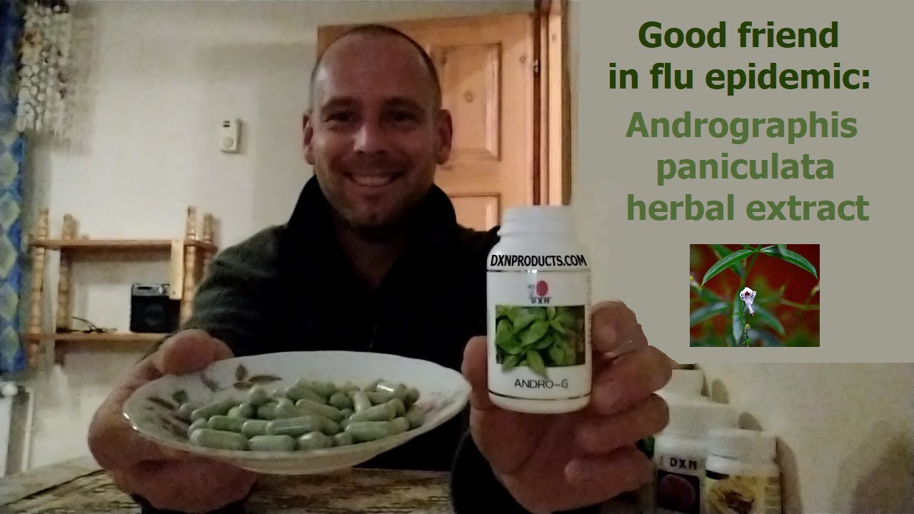 DXN Andro G Andrographis paniculata herbal extract: good friend during ...