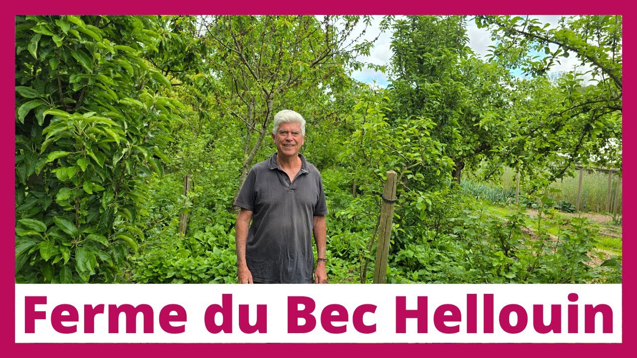 La Ferme biologique du Bec Hellouin : une référence mondiale en ...