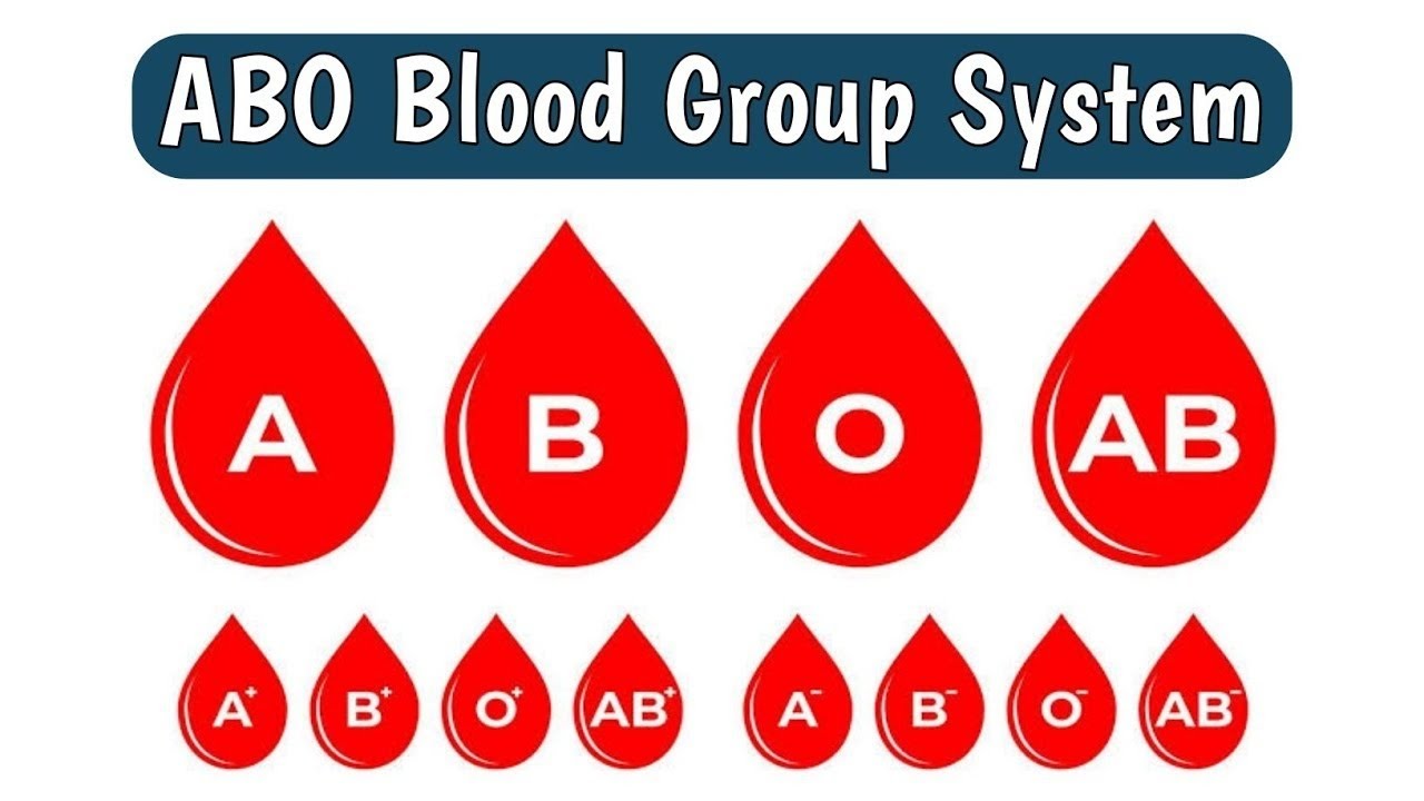 ABO Blood Group | Blood Group System | Full Procedure - YouTube
