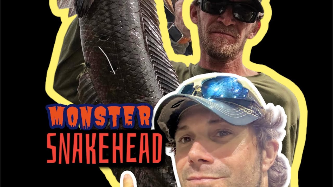INSANE WORLD RECORD SNAKEHEAD FISH!! - YouTube