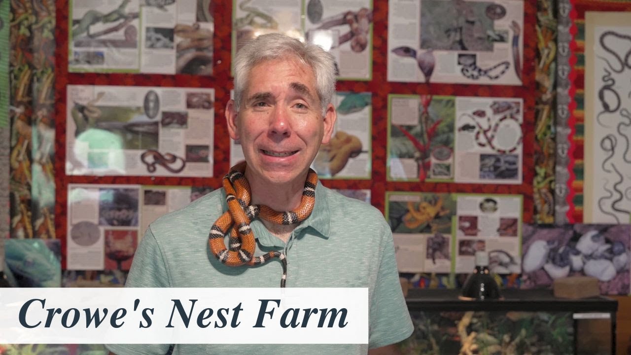 Discover Austin: Crowe's Nest Farm - Episode 119 - YouTube