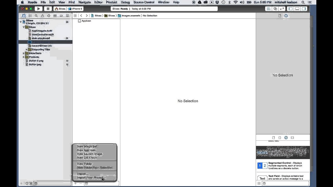 2 Xcode Image Slices TextField and Image View - YouTube