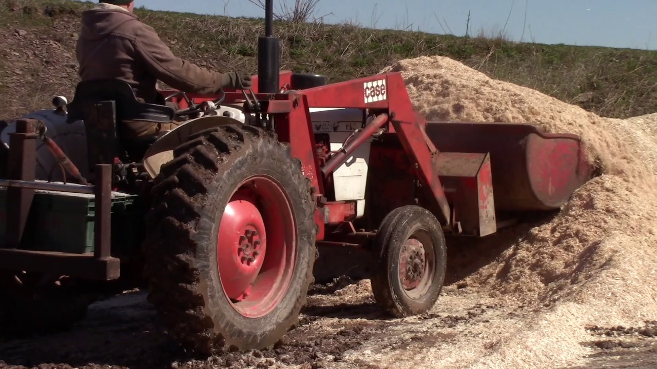 David Brown 885 Moving Sawdust into the freestall - YouTube
