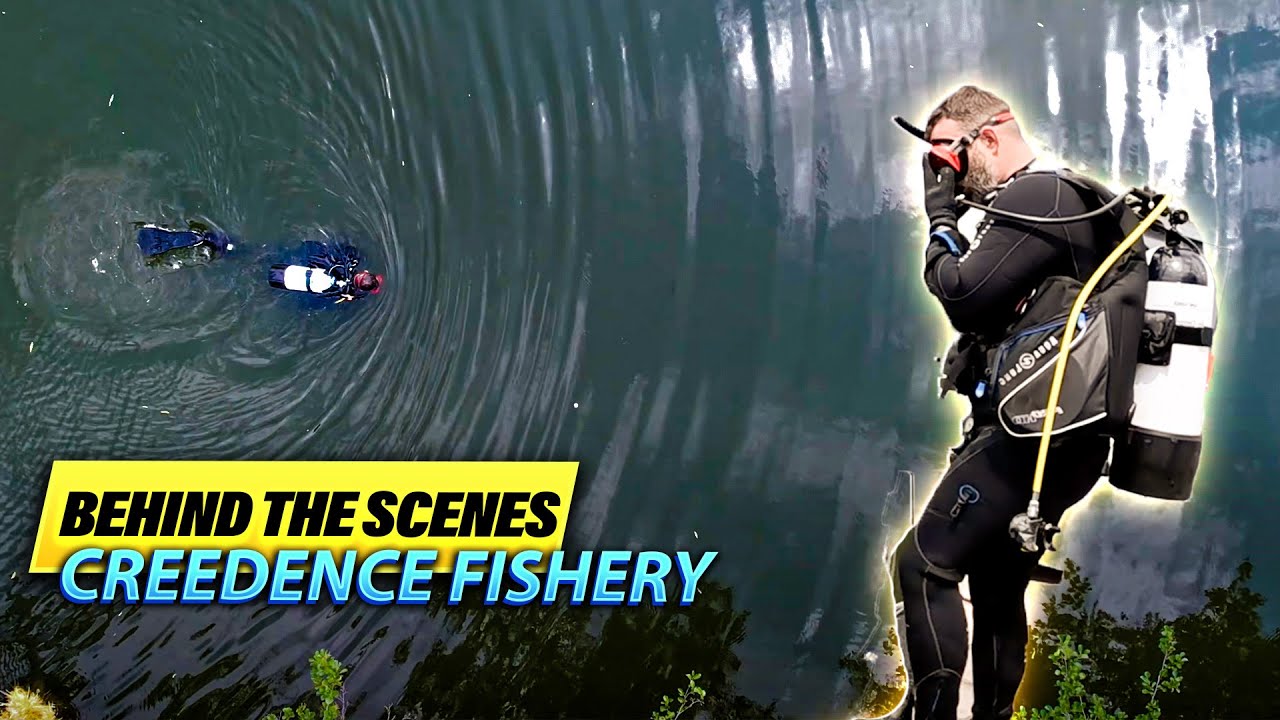 Deep Dive into Creedence Fishery: Divers Clear the Lake Bed | Behind ...