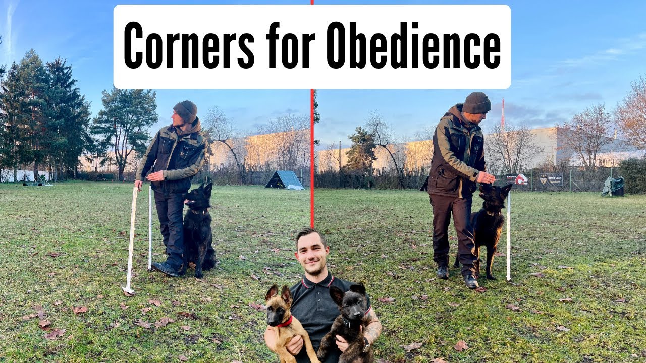 Left- and Right Corners for Obedience / IGP Training (+ special Tip!) - YouTube