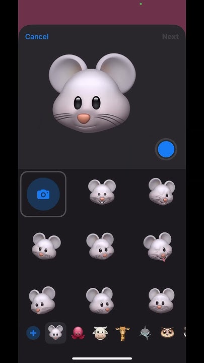 Memes Funny Edit Youtube