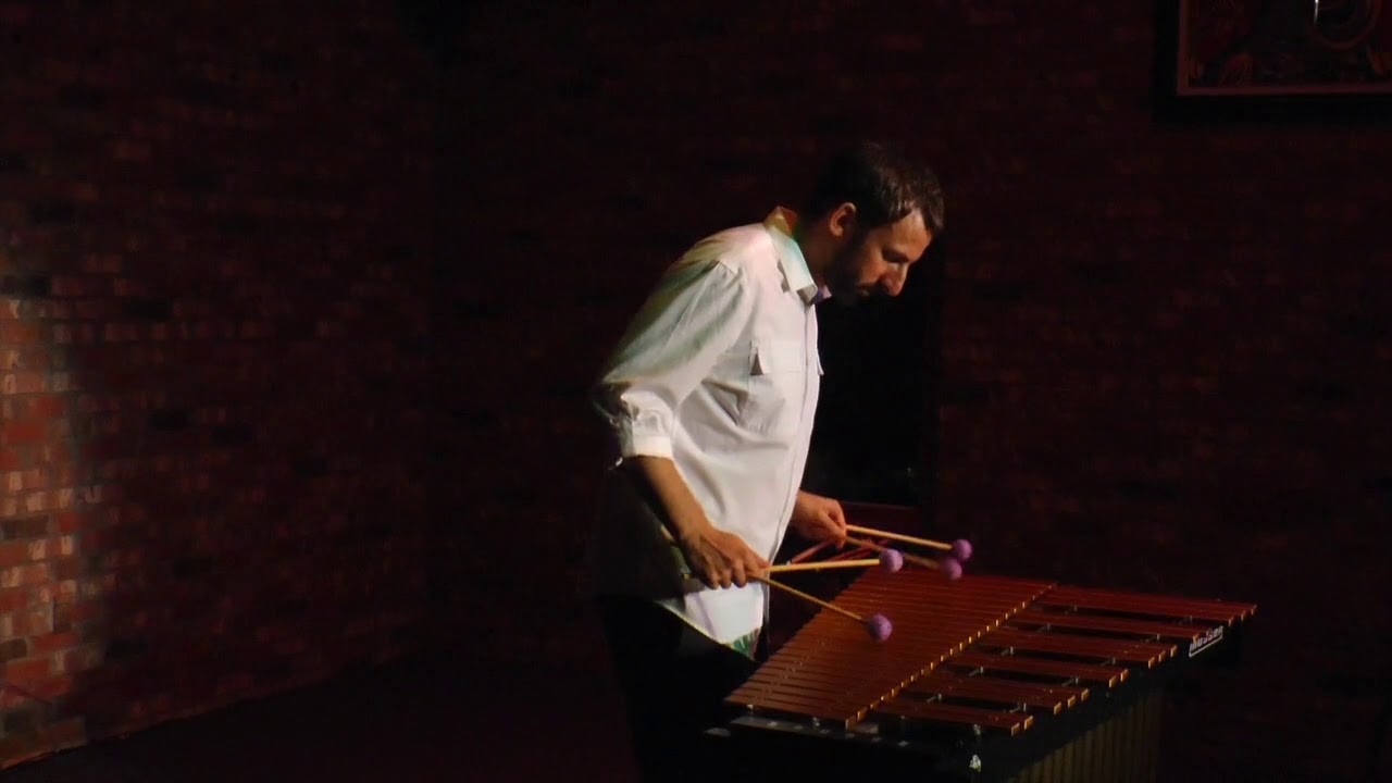 Chris Dingman Solo: Live at Timucua Arts - YouTube