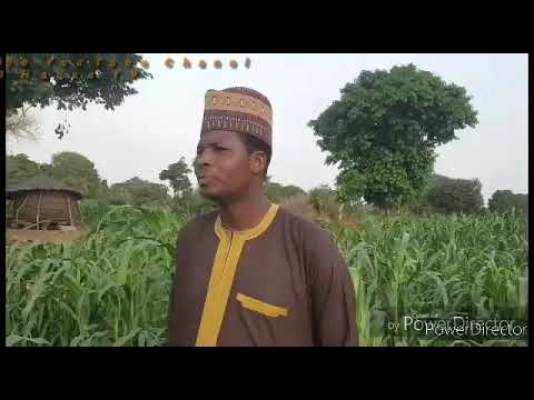 Alh Abdullahi Dan gano video Salli ya rabbi